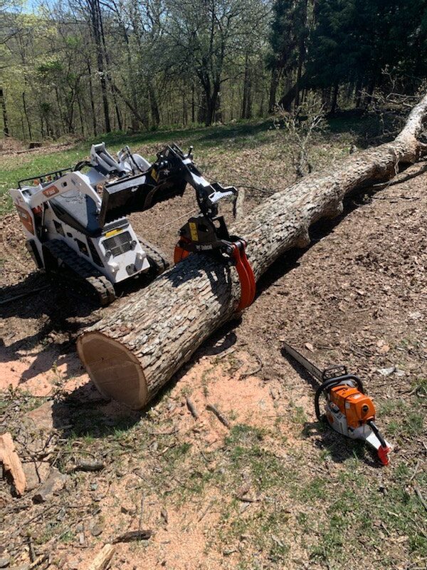 Emergency Tree Service - Busy Badger Tree Care